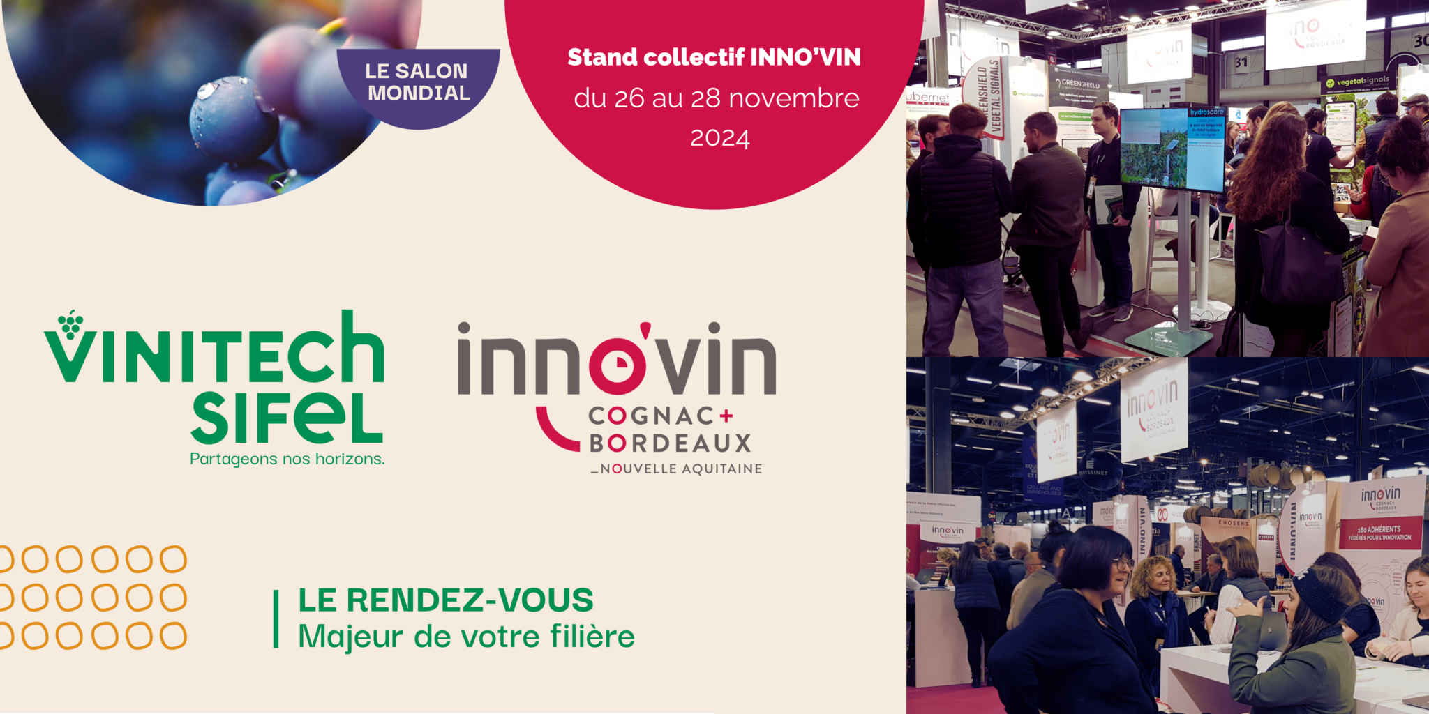 INNO'VIN | L'innovation au service de la filière vitivinicole